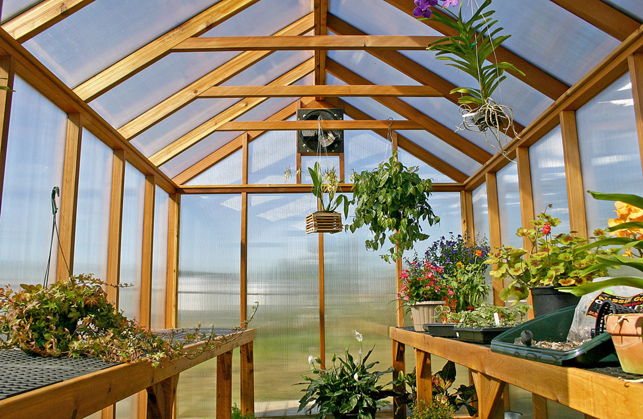 How to Grow Orchids in a Greenhouse: Expert Tips