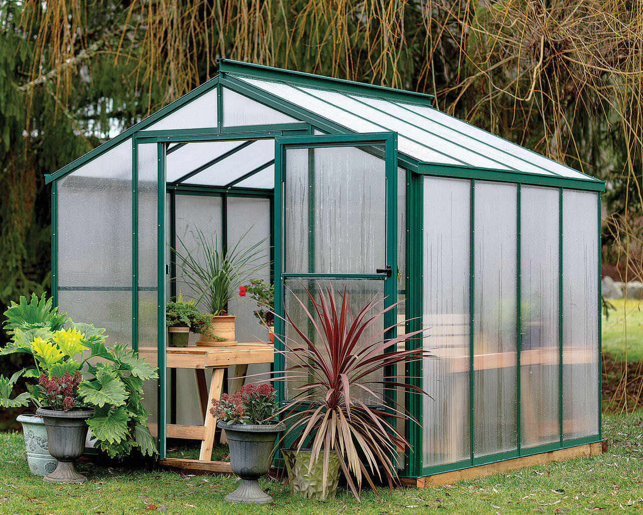 9 Easy Greenhouse Plants for Beginners