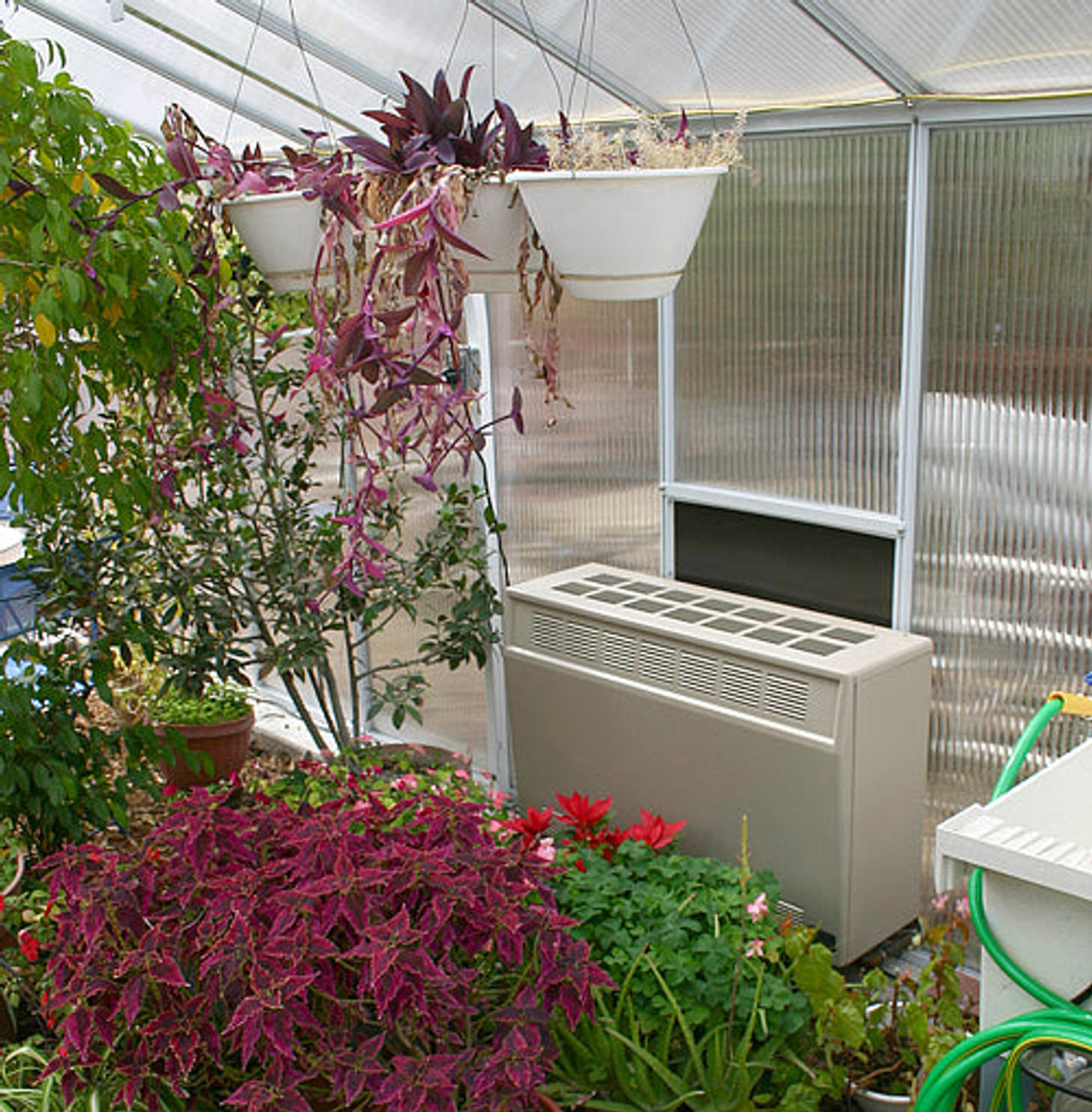 Best Greenhouse Temperature Control Techniques to Help Your Plants Thrive All-Year Round ...